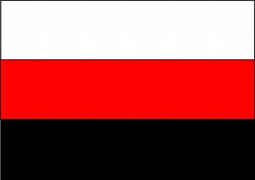 Orion federation and civilisations